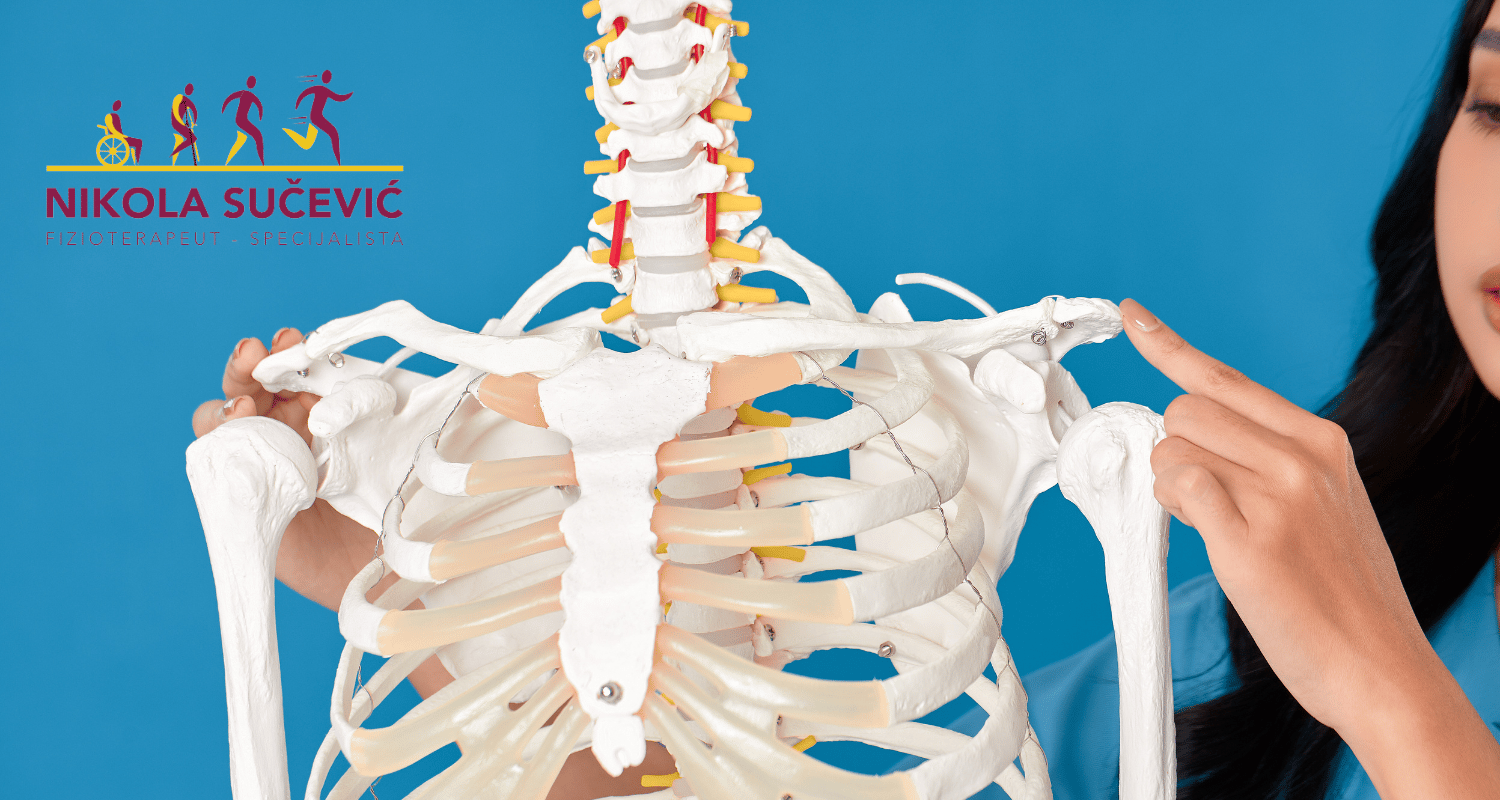 Prelom ključne kosti (fraktura klavikule) - Sucevic.rs